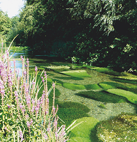 Catchment Management Plan : The Kennet Catchment